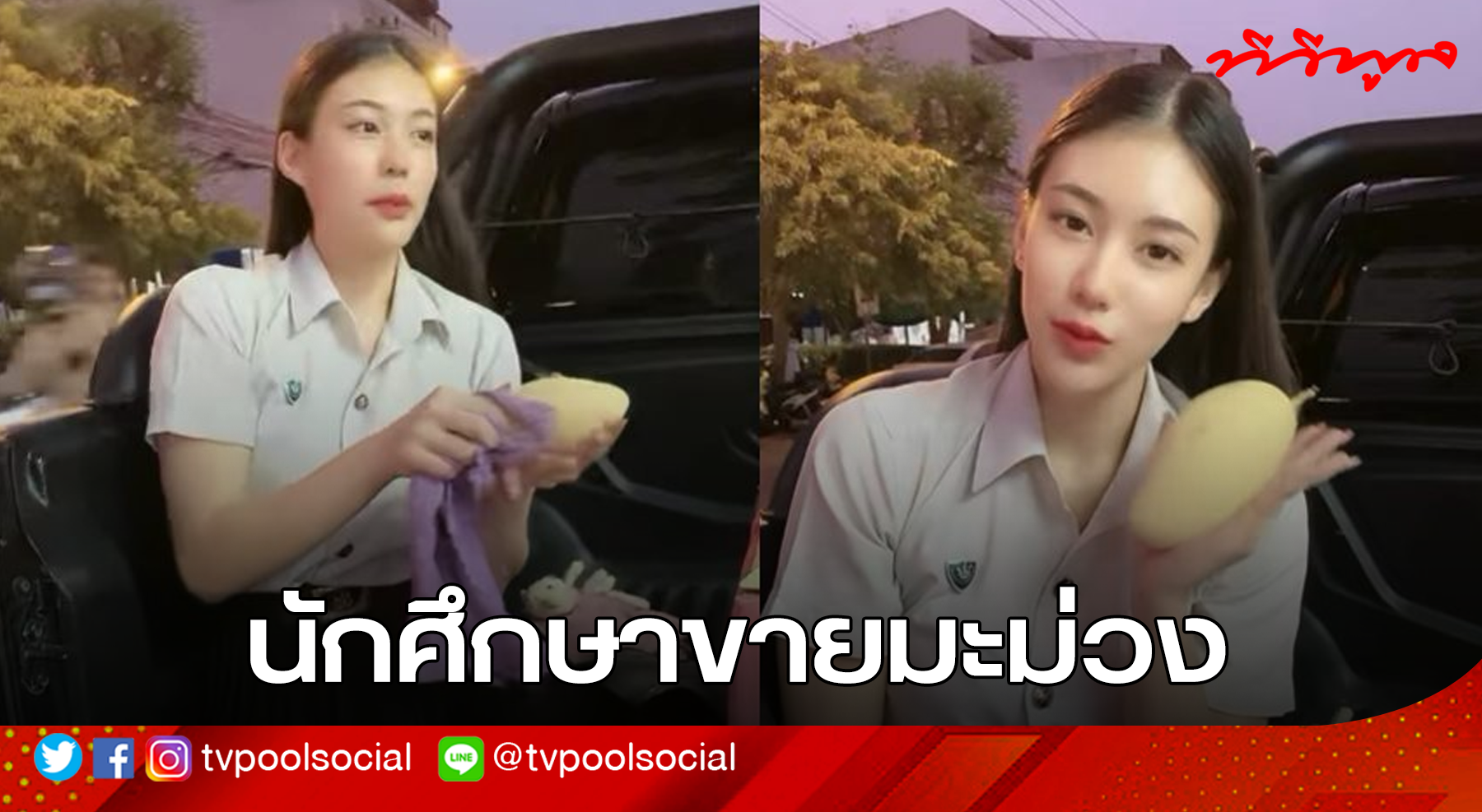 นักศึกษาขายมะม่วงสุดน่ารัก