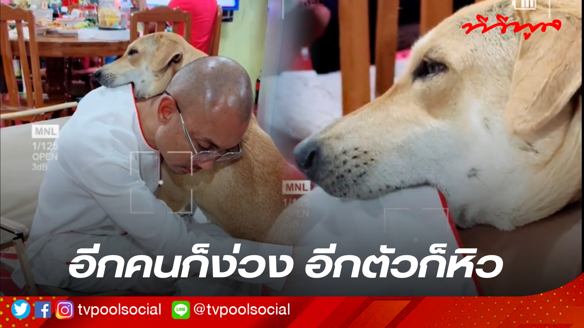 ภาพน่ารัก ! อาจารย์เบียร์คนตื่นธรรม กับสัตว์เลี้ยงของเขา